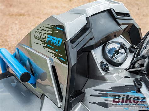 Arctic Cat Alterra 600 Poster