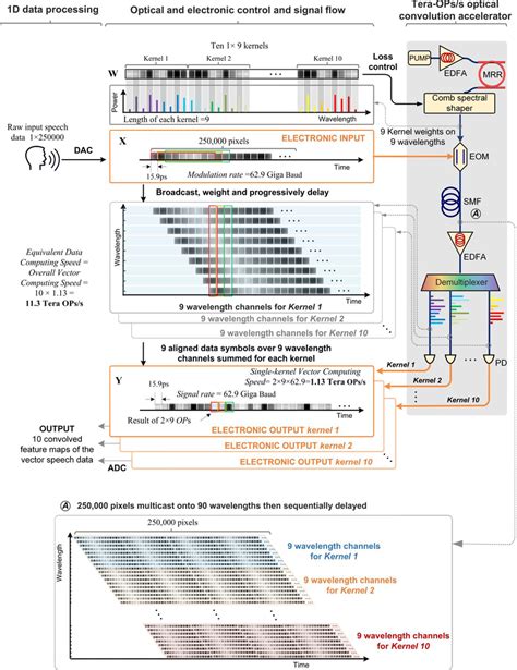 Vector Convolutional Accelerator For Processing One Dimensional