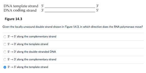 solved dna template strand 5 3 dna coding strand