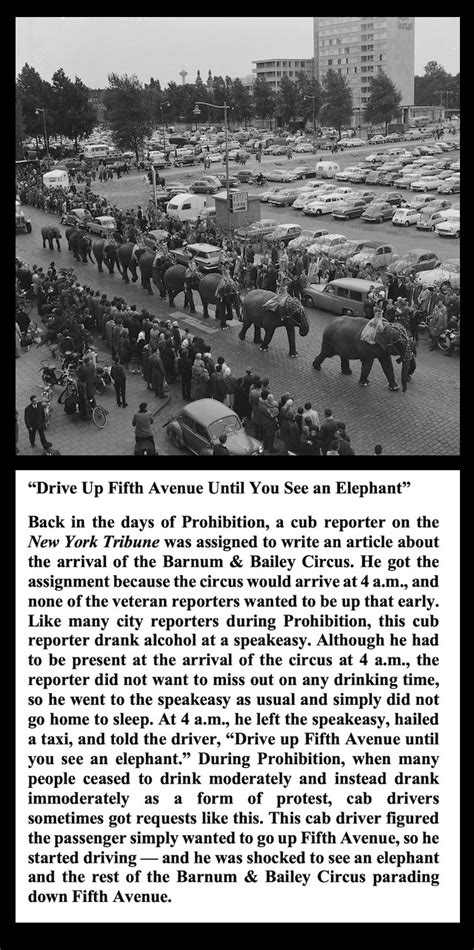 Drive Up Fifth Avenue Until You See An Elephant Album On Imgur