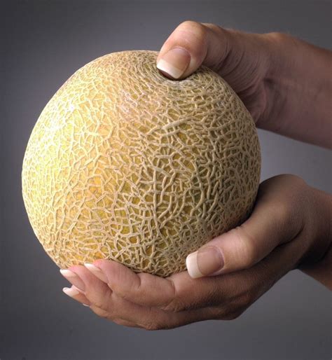 Cantaloupe Size