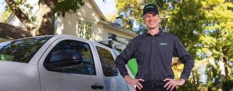 Do Skunks Hibernate In Winter Terminix