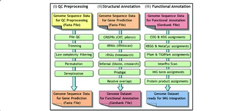 Genome Sequence Data Preprocessing I Structural Ii And Functional Download Scientific