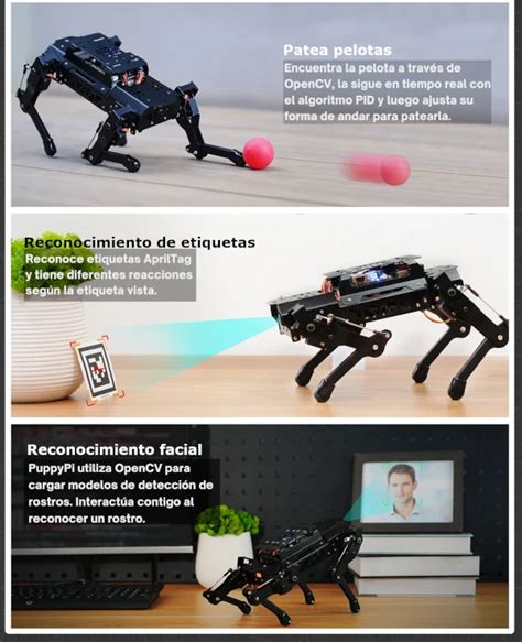 PuppyPi PRO Robot Quadrúpedo LIDAR e IA SKU R HUBOT