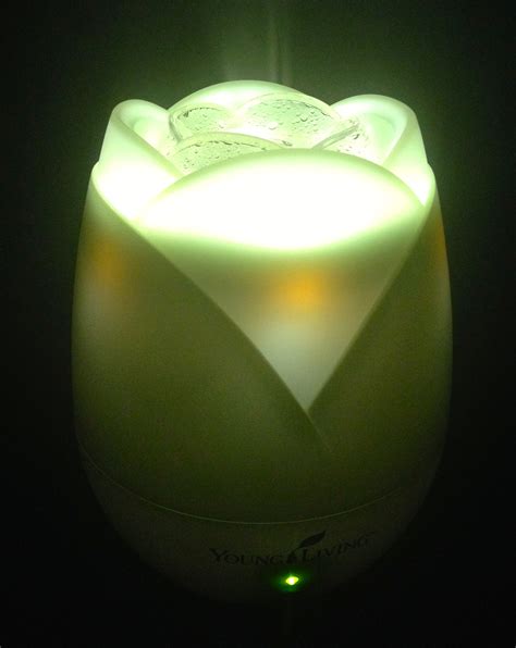 25 Uses For Peppermint Oil