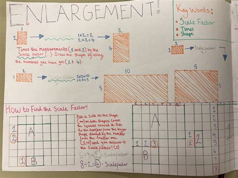 Year 8 Mathematics Mathematics