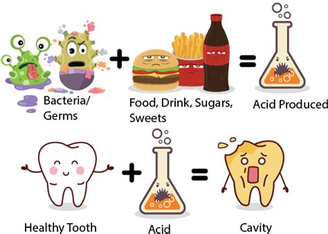Tooth Decay How To Prevent And Treat At Home Dental Choices