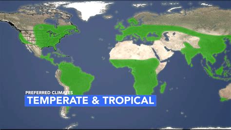 Lightning Bug Season Has Arrived In Ohio Where To See Them