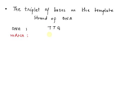 Solved Question 6 Codons Are Composed Of Triplet Sequence Of