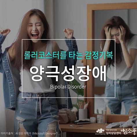 양극성장애bipolar Disorder 롤러코스터를 타는 감정기복 부천심리상담센터 마음소풍