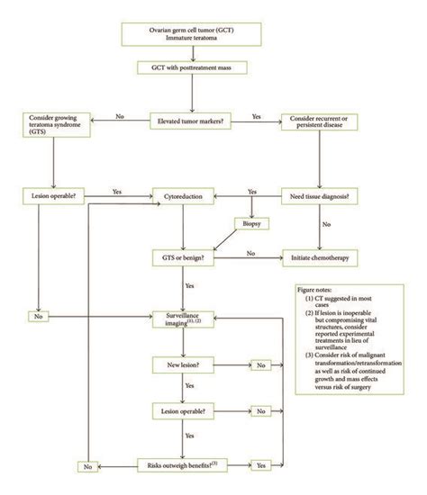 Algorithm Suggested For Management Of Pediatric Female Patients With Download Scientific