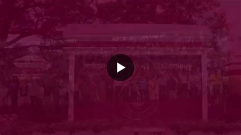 Placement Iitmadras Engineering Datascience Jobs Iit Madras Bs