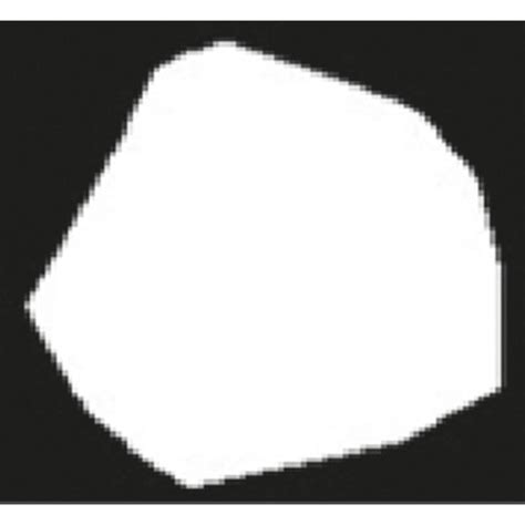 Region Of Interest A Area B Perimeter C Convex Hull