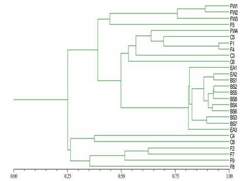 dendrogram elaborated from estimates of genetic similarity jaccard