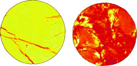 3 Ct Scan Of Active Layer And Permafrost Layer Resource From Lawrence Download Scientific