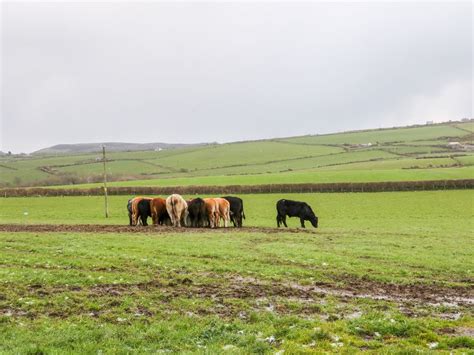 Ty Mynydd Cottage In Aberdaron Gwynedd Cottages And Lodges
