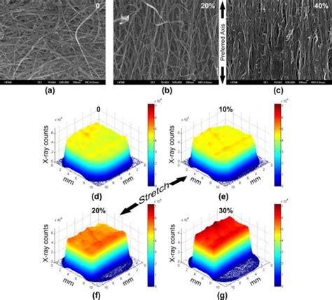 1 sem images and x ray nanographs of carbon nanotube networks at