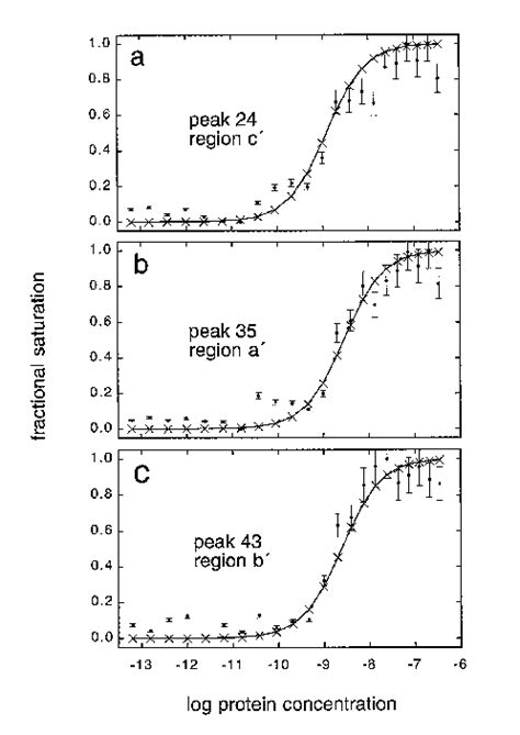 Fits —×— Of The Langmuir Equation To The Binding Isotherm Data Download Scientific Diagram