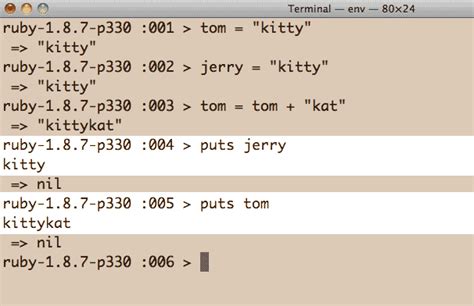 Variables The Bastards Book Of Ruby