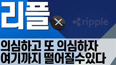 리플 추가하락 가능성 하지만 Youtube