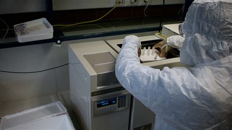 Video A GMP Compliant Procedure For The Generation Of Gene Modified T Cells