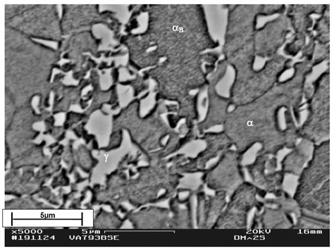 Sem Micrograph Showing The Multiphase Microstructure Of A Nondeformed Download Scientific