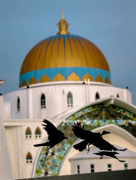 2023马六甲海峡清真寺游玩攻略 面的人山人海形成了鲜明的 【去哪儿攻略】