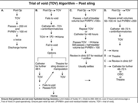 Management Of Sling Surgery Complications Springerlink