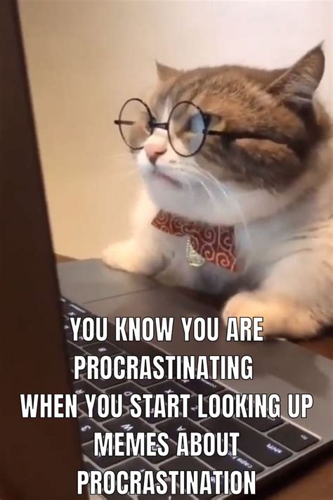 Procrastination Meme Procrastination Quotes Funny Procrastination