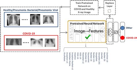 Frontiers The Performance Of Deep Neural Networks In Differentiating Chest X Rays Of COVID