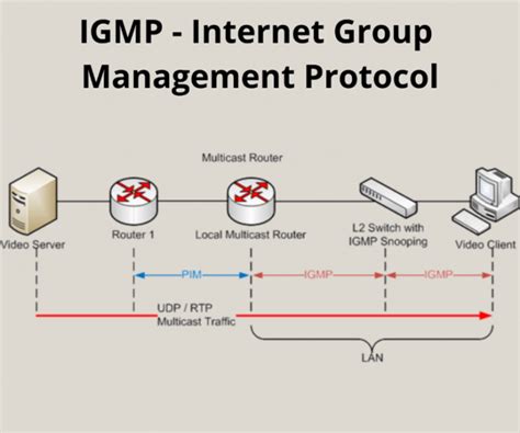 Basic Understanding Of IGMP Internet Group Management Protocol Zindagi Technologies