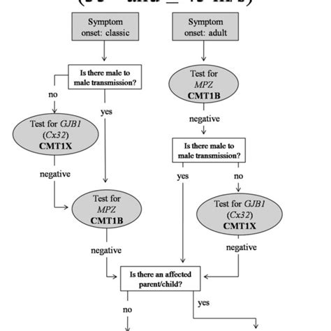 algorithm to guide genetic testing for cmt in patients with download scientific diagram