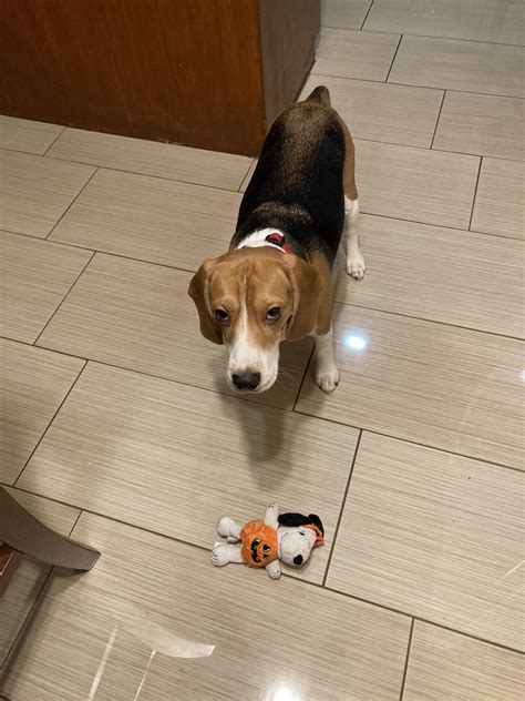 Whos This Guy Rbeagle