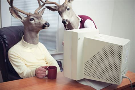lavalink musicbot · github topics · github