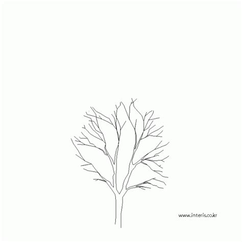 조경 나무입면 Ttebc006 Library Magnicad Cad Block Free Download