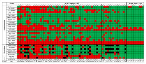 Heatmap Direct Comparison Of Gene Expression And Dna Methylation Download Scientific Diagram