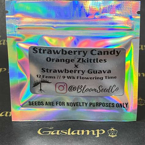 Bloom Seed Co Strawberry Candy Feminized Seeds Gaslamp Seeds