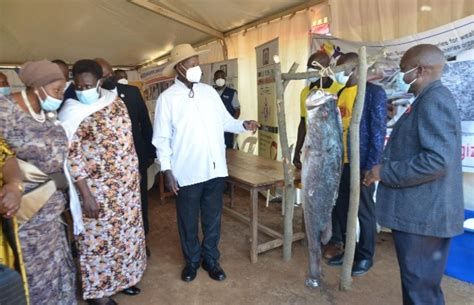 President Museveni Pledges To Address Corruption In Fpu The Nile Wires