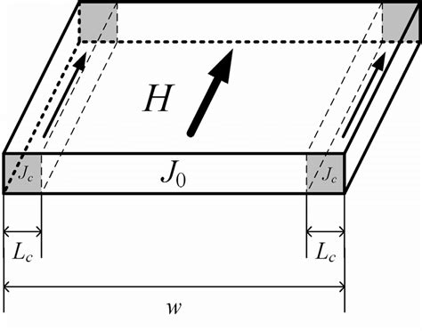 Schematic Representation Of The Magnetic Polarization Distribution