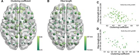 Anti Correlation Between Macroscopic Clustering Coefficient And Fiber
