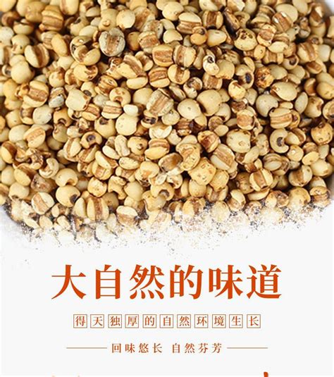 麸炒薏米仁熟薏仁炒薏仁米兴仁小薏米炒熟薏苡仁芡实茯苓 阿里巴巴 麸炒薏米仁熟薏仁炒薏仁米兴仁小薏米炒熟薏苡仁芡实茯苓 阿里巴巴