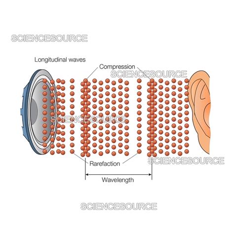Sound Wave Propagation Illustration Stock Image Science Source Images