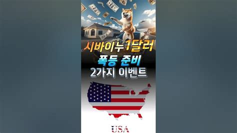 시바이누 코인 전망 시바이누 코인 폭등준비중 시바이누코인 비트코인 도지코인 Youtube