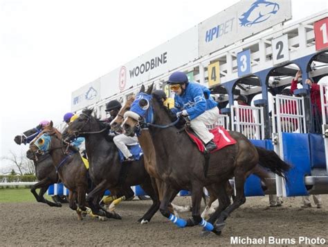 Woodbine Releases 2024 Stakes Schedule Canadian International Will Not