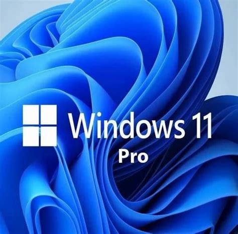 2021 Microsoft Windows 11 Pro Edition Multi User License Type Oem