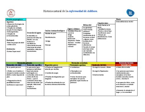 Historia Natural De La Enfermedad De Addison Descargar Gratis Pdf