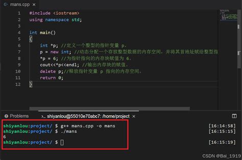蓝桥网站学习c 复盘第三课——new与delete的对指针操作 csdn博客