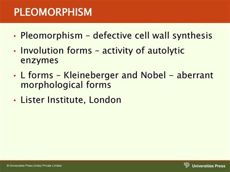 Morphology Of Bacteria Ppt Download