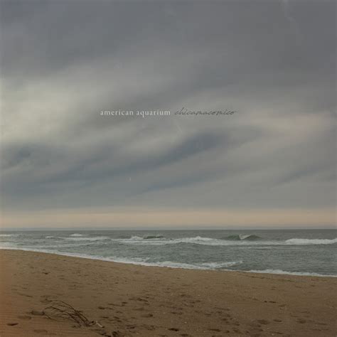 Chicamacomico Youtube Music