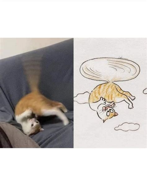 Добірка справжнього мистецтва 10 фото Невсівдома